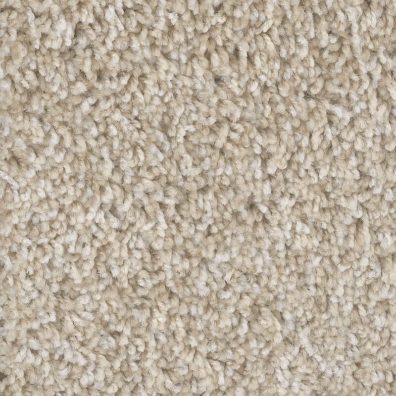 Champagne - World of Floors - Call 1-800-3FLOORS