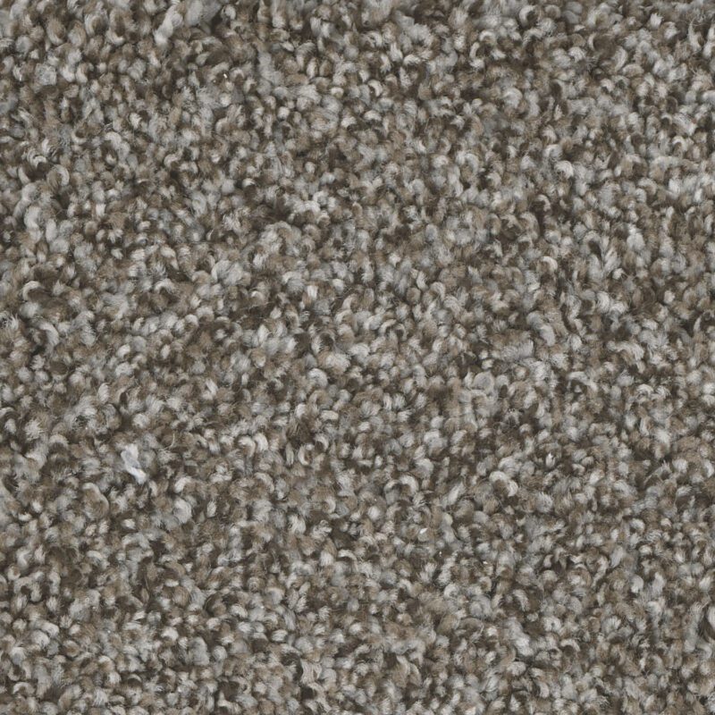 Graphite - World of Floors - Call 1-800-3FLOORS